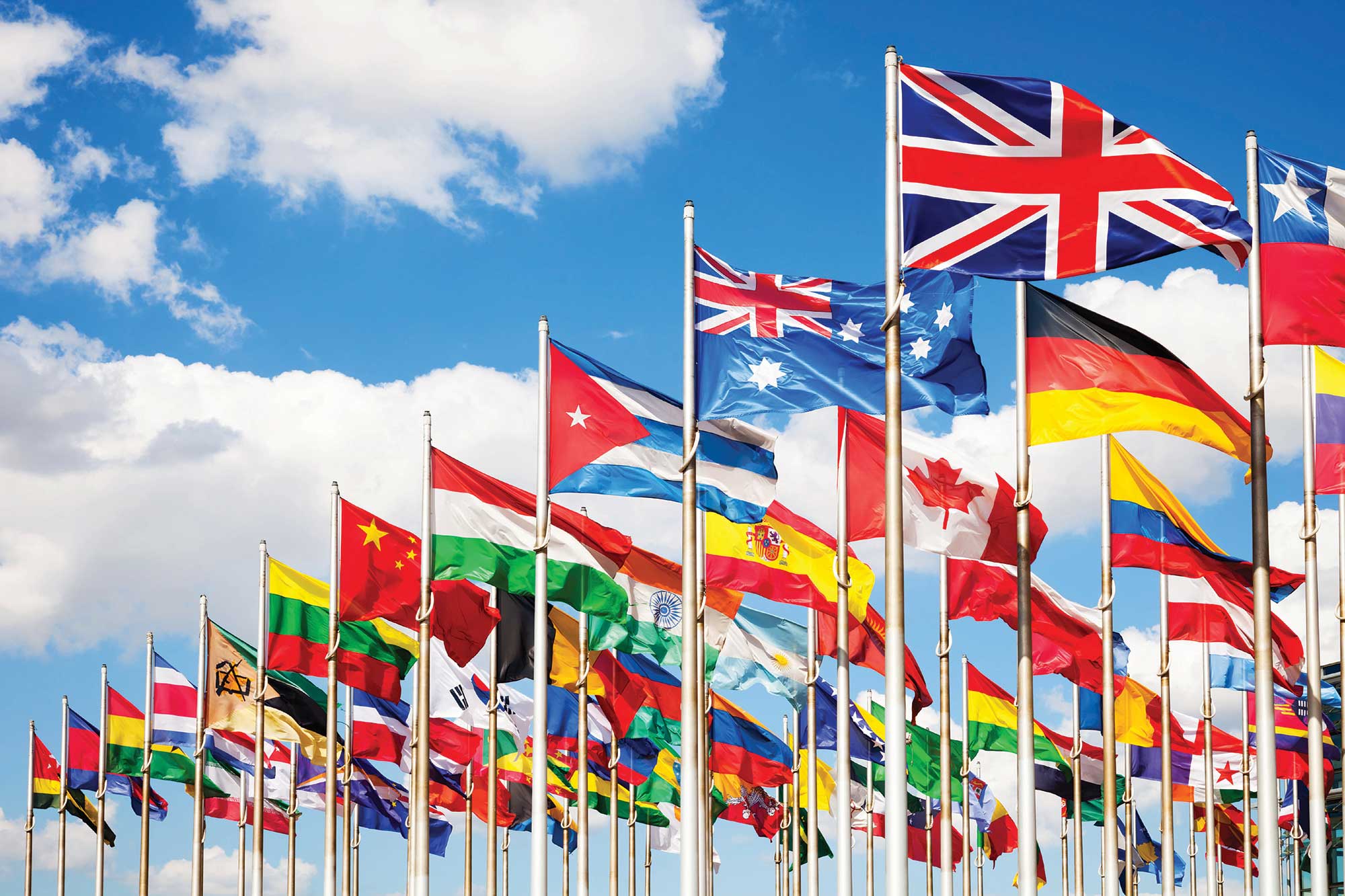 International Cooperation ViMariel IP